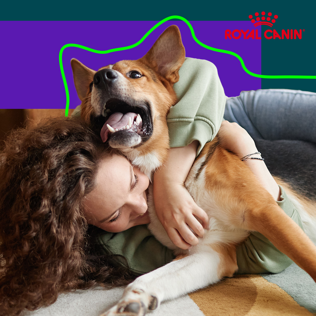 Unlocking the future of senior pet nutrition for Royal Canin - Human8